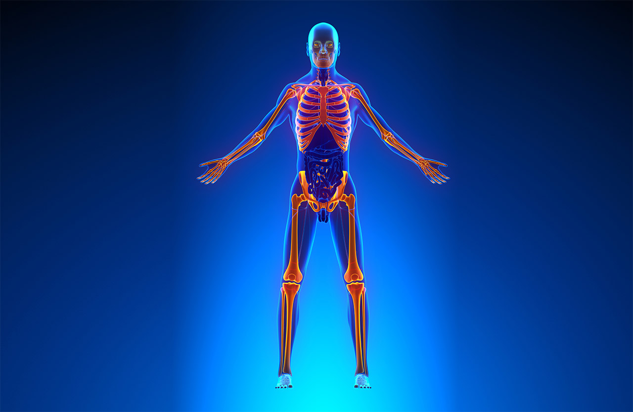 ¿De qué están compuestos tus huesos? - OseaMx