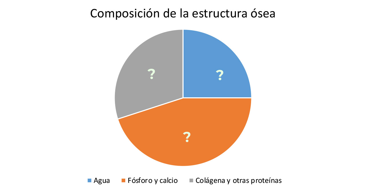 Estructura ósea - OseaMx